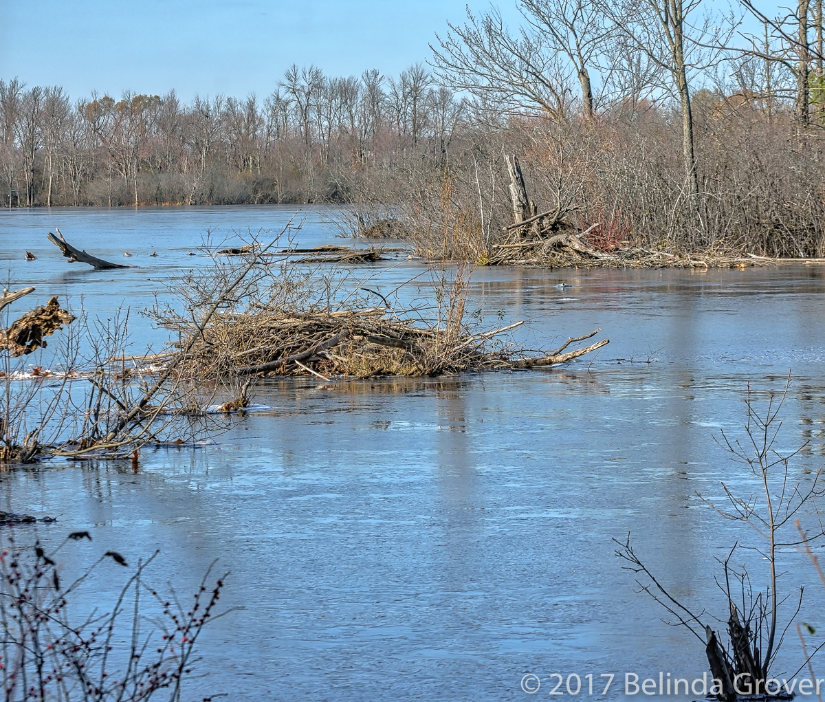 PAUSE (TWO PHOTOGRAPHS) | BELINDA GROVER PHOTOGRAPHY