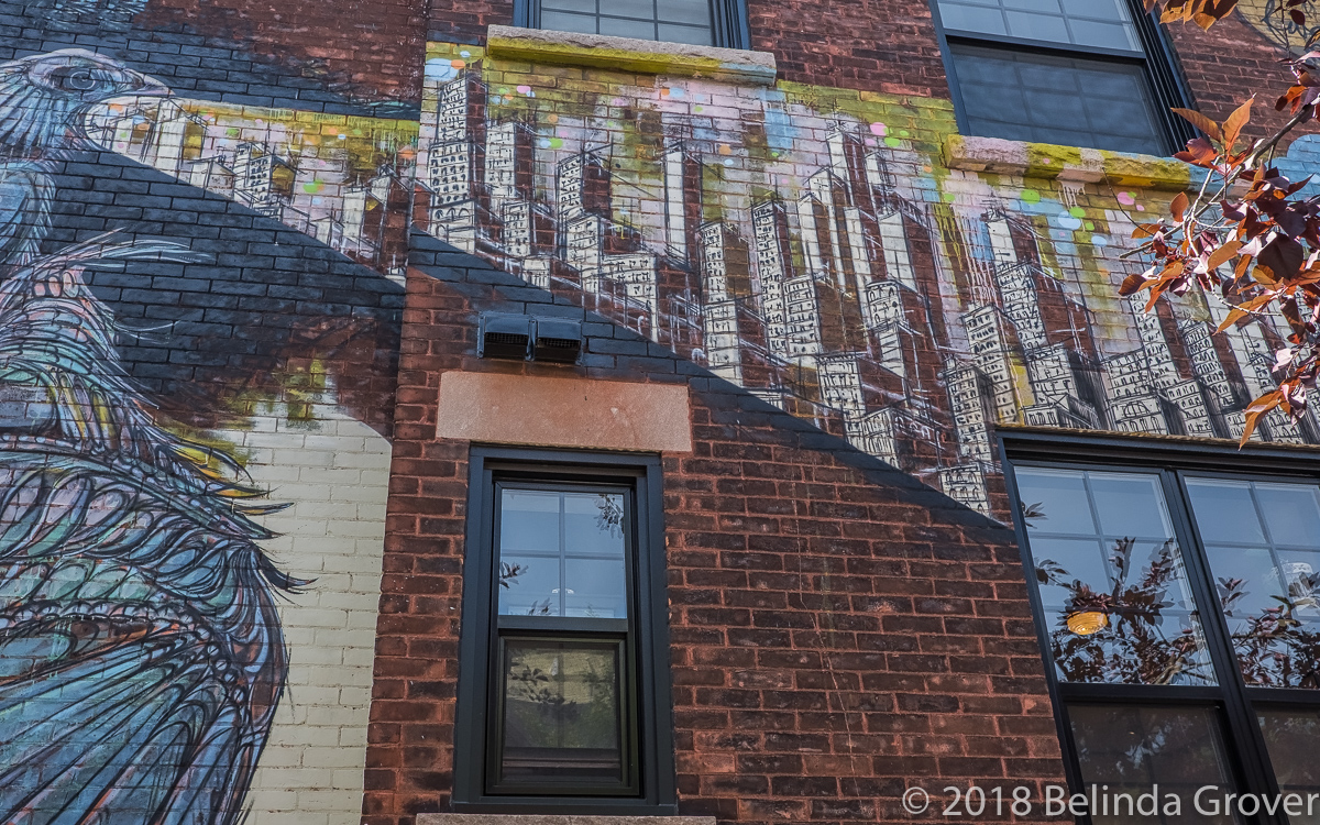 A NEW TAKE (TWO PHOTOGRAPHS) | BELINDA GROVER PHOTOGRAPHY