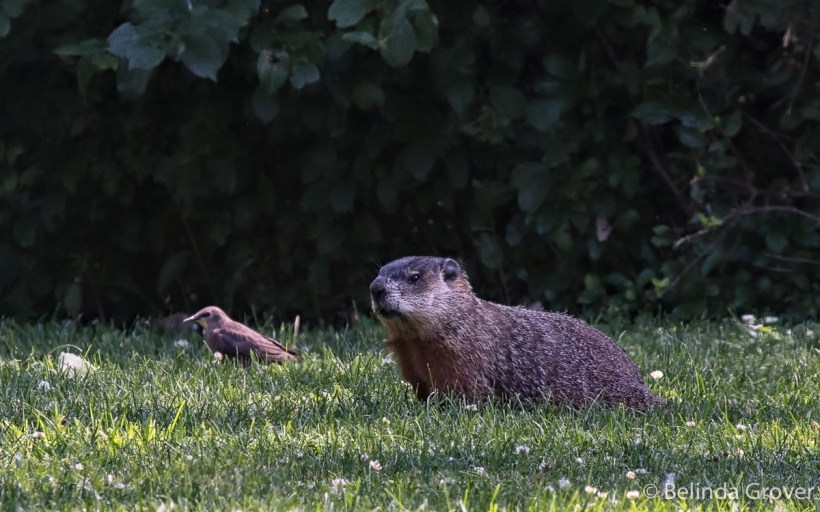 Be Prepared | BELINDA GROVER PHOTOGRAPHY
